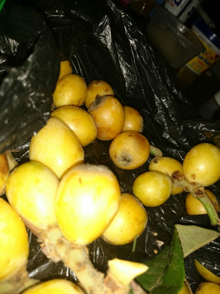 Mbûtha – In Kikuyu